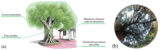 Research on the Construction of Health Risk Assessment Model for ...