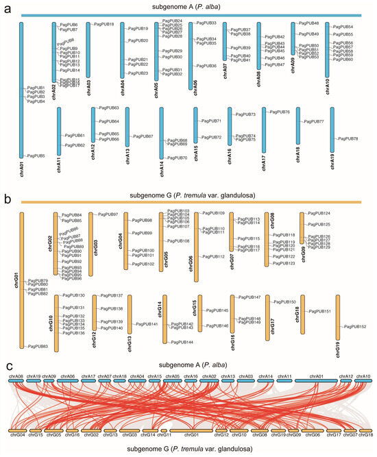 Genome-Wide Identification, Evolution and Expression Analysis of the U ...
