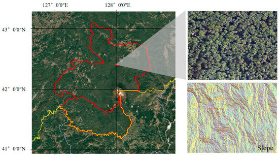 Simulation Based Correction Of Geolocation Errors In Gedi Footprint Positions Using Monte Carlo