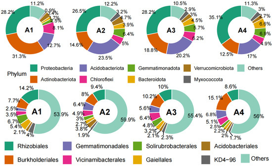 Elevational Patterns and Environmental Drivers of Dominant Bacterial Communities in Alpine ...