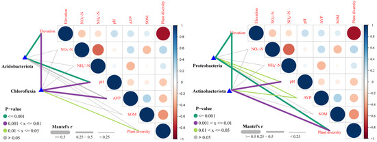 Elevational Patterns and Environmental Drivers of Dominant Bacterial Communities in Alpine ...