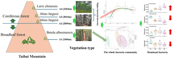 Elevational Patterns and Environmental Drivers of Dominant Bacterial Communities in Alpine ...