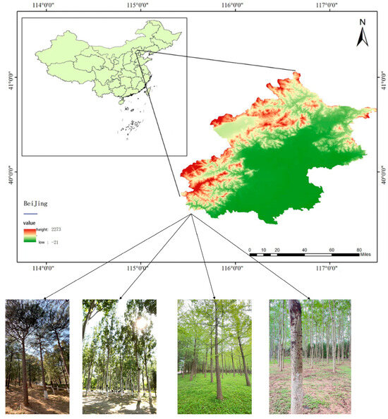 Fs Mvsnet A Multi View Image Based Framework For 3d Forest Reconstruction And Parameter