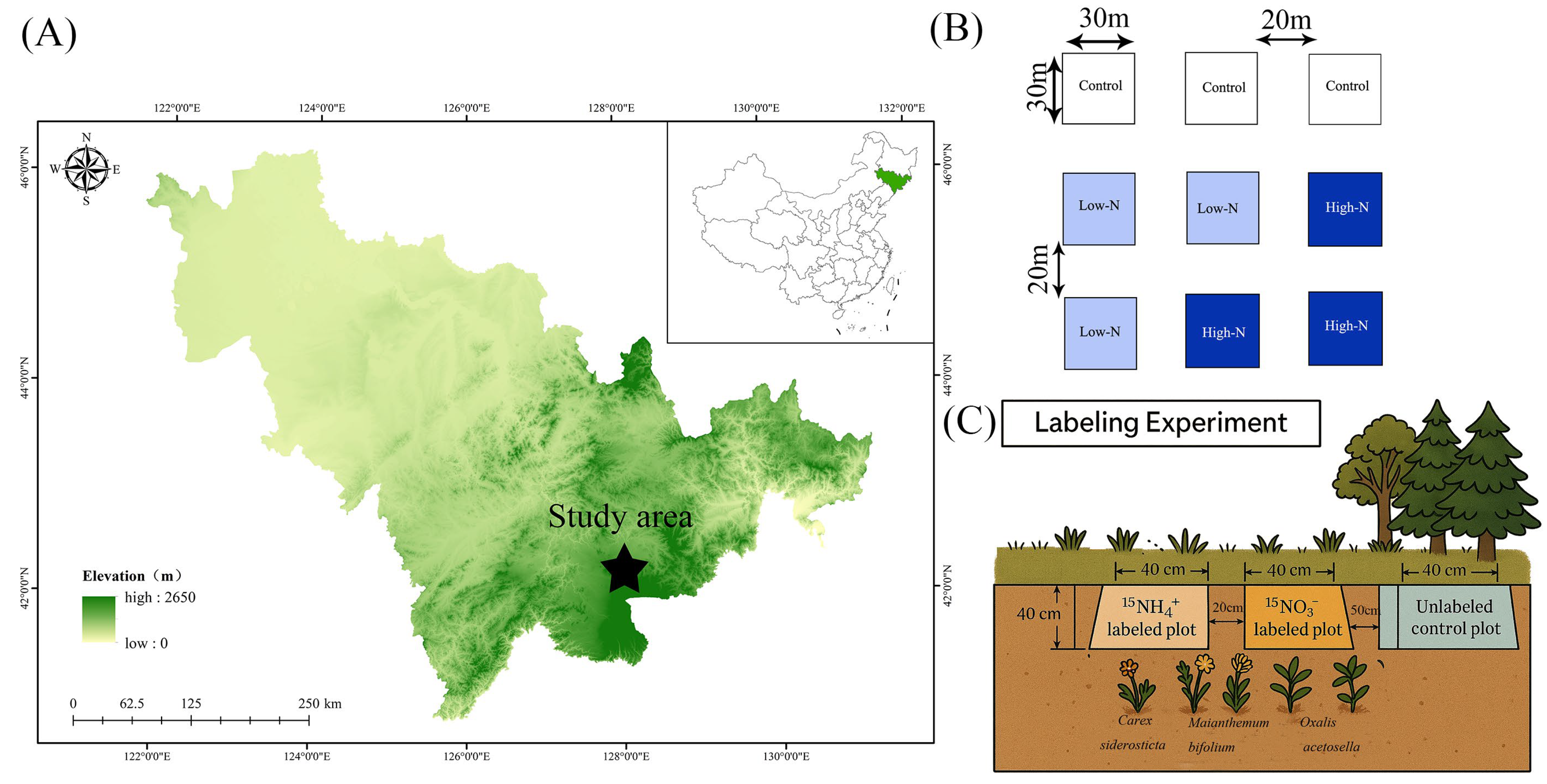 Long-Term Nitrogen Addition Regulates Plant-Soil 15N–13C Coupling ...