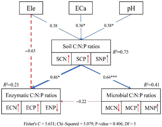 Elevational Patterns and Drivers of Soil Total, Microbial, and Enzymatic C:N:P Stoichiometry in ...