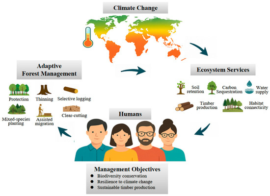 Reframing Adaptive Forest Management to Sustain Ecosystem Services ...