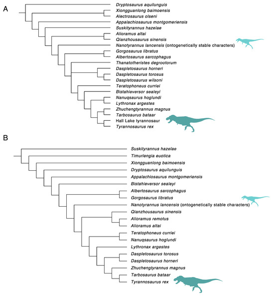 Fossil Studies | Free Full-Text | Taxonomic Status of Nanotyrannus ...
