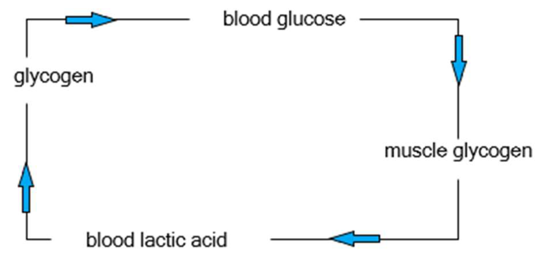 Gerty Cori, a Life Dedicated to Chemical and Medical Research