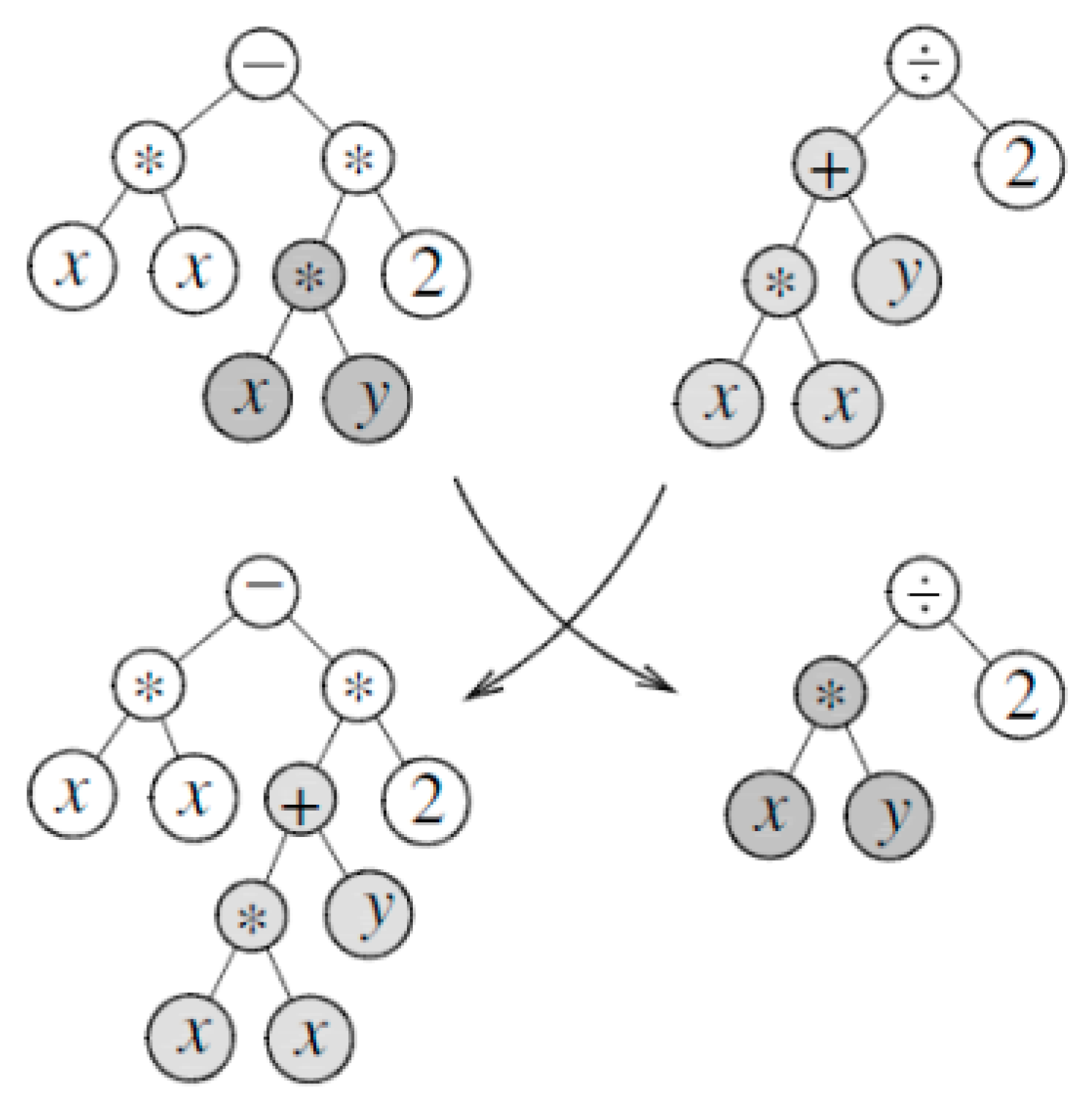 A New Method of Quantifying the Complexity of Fractal Networks