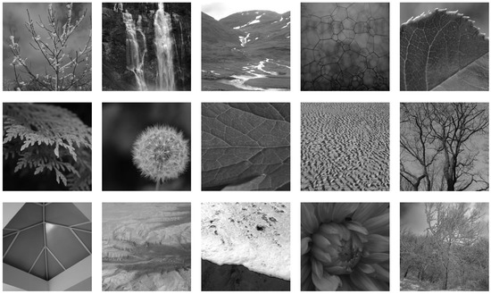 Fractal Fract Free Full Text Extensible Steganalysis Via Continual Learning