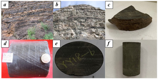 Fractal Fract | Free Full-Text | Investigation of the Oriented ...