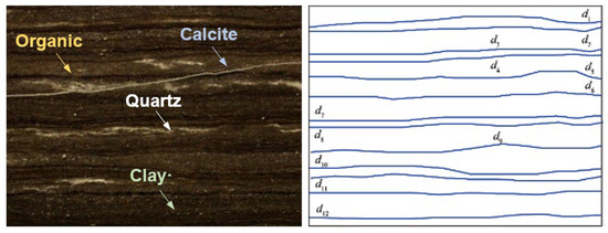 Investigation of the Oriented Structure Characteristics of Shale Using ...