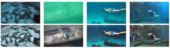 An End-to-End Underwater-Image-Enhancement Framework Based on ...