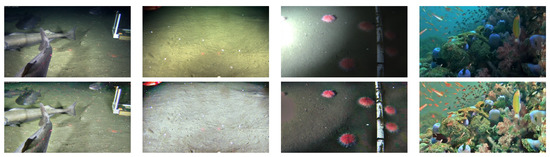 Fractal Fract | Free Full-Text | An End-to-End Underwater-Image ...