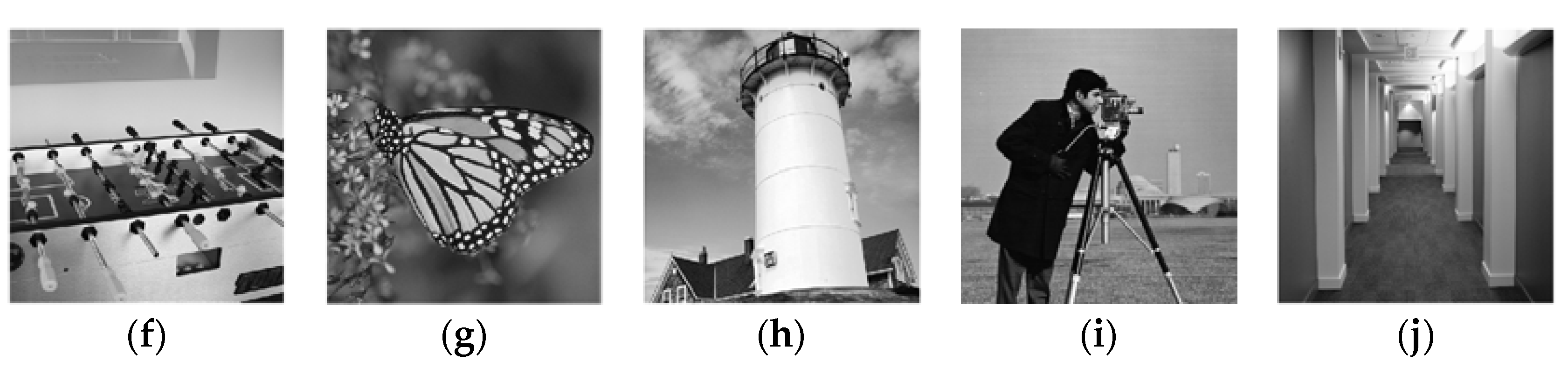 An Image-Denoising Framework Using ℓq Norm-Based Higher Order Variation and Fractional Variation ...