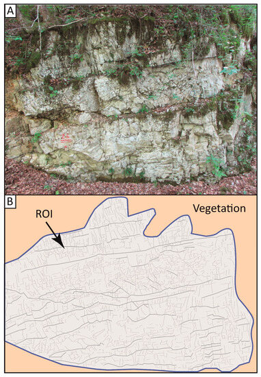 Fractal Characterization of Multiscale Fracture Network Distribution in ...