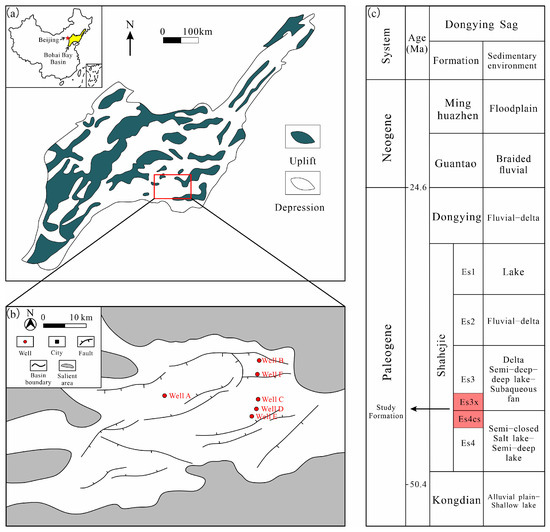 Heterogeneity of Micro- and Nanopore Structure of Lacustrine Shales ...