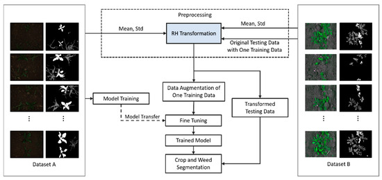Crop and Weed Segmentation and Fractal Dimension Estimation Using Small ...