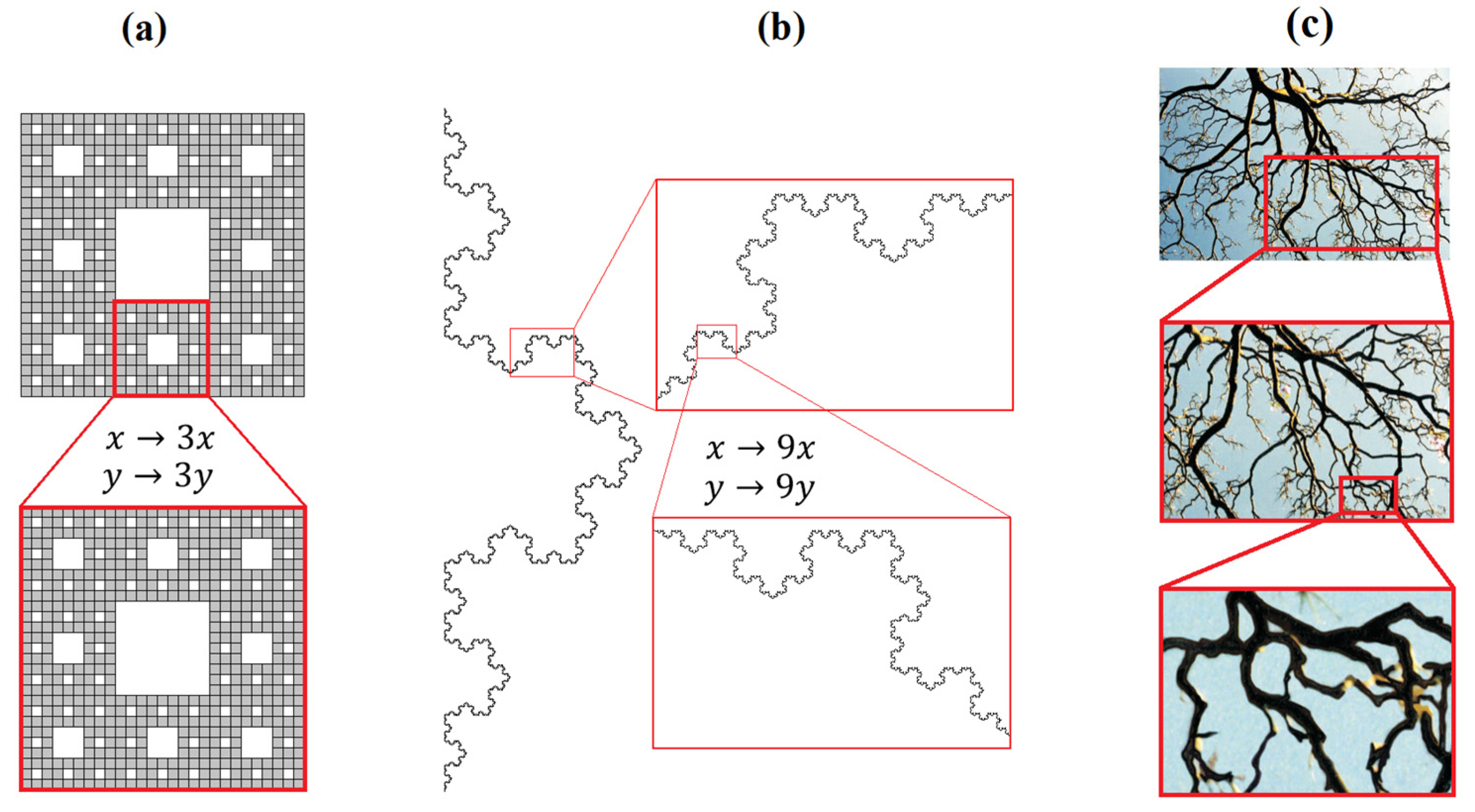 Morphological Features of Mathematical and Real-World Fractals: A Survey