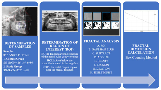 Assessment of Mandibular Trabecular Bone Structure in Hypodivergent Growth Patterns Using ...