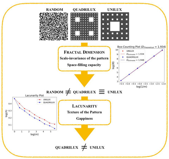 Statistical Insights into Spatial Patterns: A Panorama About Lacunarity