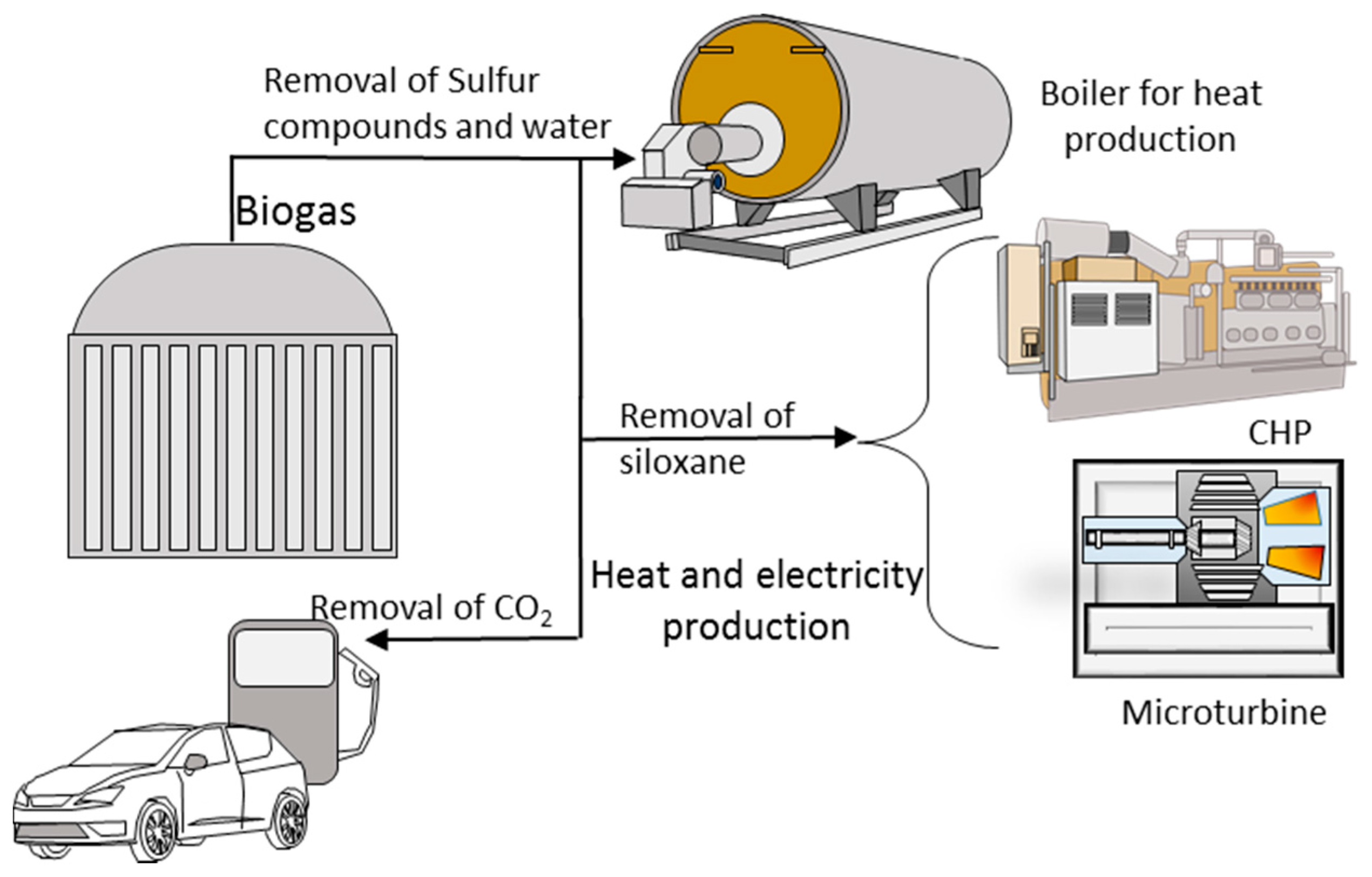 Biogas Production from Organic Wastes: Integrating Concepts of Circular ...