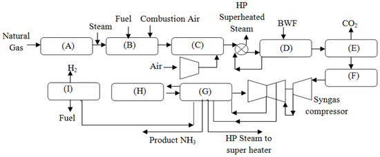Ammonia Production Plants—A Review