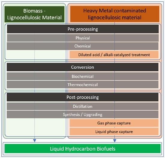 Fuels | Free Full-Text | An Assessment of Liquid Biofuel Value Chains ...