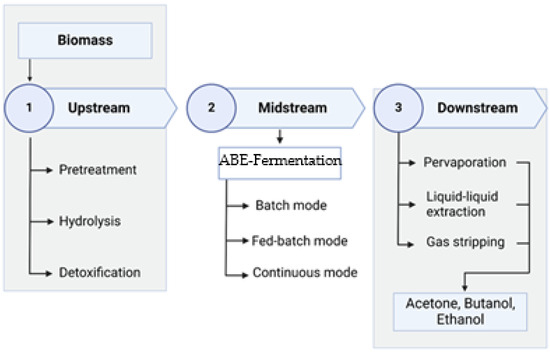 A Review of Biobutanol: Eco-Friendly Fuel of the Future—History ...