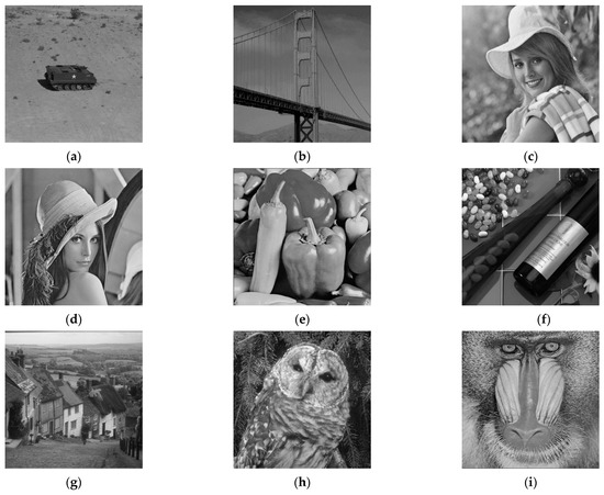 Future Internet | Free Full-Text | Two-Layer Reversible Data Hiding for VQ-Compressed Images ...