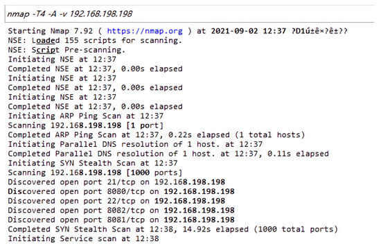 Communication-Traffic-Assisted Mining and Exploitation of Buffer Overflow Vulnerabilities in ADASs