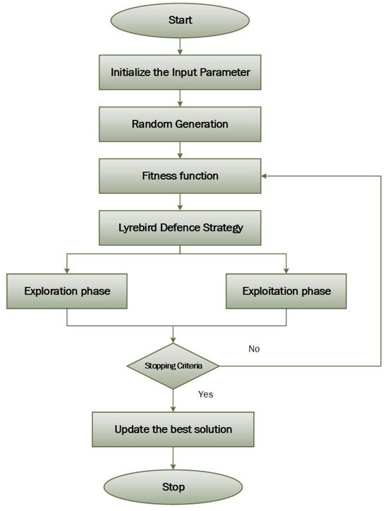 Securing The Edge Catboost Classifier Optimized By The Lyrebird Algorithm To Detect Denial Of