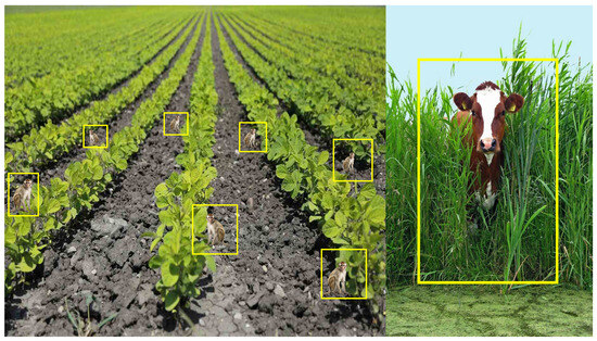Real-Time Farm Surveillance Using IoT and YOLOv8 for Animal Intrusion ...