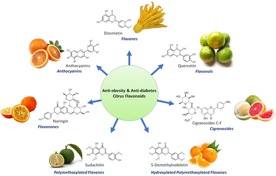 Therapeutic Potential of Bioactive Flavonoids from Citrus Fruit Peels toward Obesity and ...