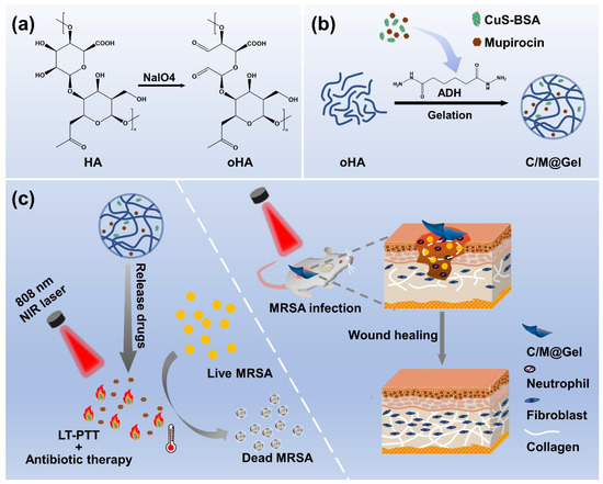 A Synergistic Antibacterial Platform Combining Low–Temperature ...