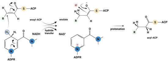 Single Turnover of Transient of Reactants Supports a Complex Interplay ...