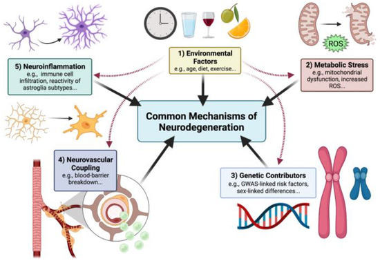 Unlocking the Therapeutic Potential of Medicinal Plants for Alzheimer’s ...