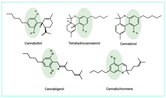 Cannabinoids from C. sativa L.: Systematic Review on Potential ...