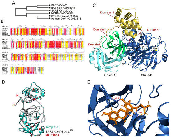 Mechanistic Insights into the Mutational Landscape of the Main Protease ...