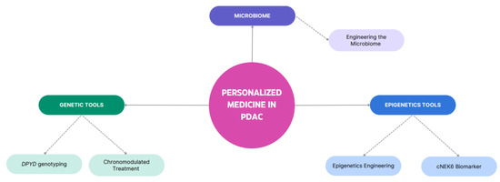 The Use of Personalized Medicine in Pancreatic Ductal Adenocarcinoma (PDAC): New Therapeutic ...