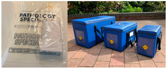 Future Transportation | Free Full-Text | Benefits of Shared-Fleet ...