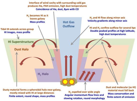 A Review of the Theory of Galactic Winds Driven by Stellar Feedback