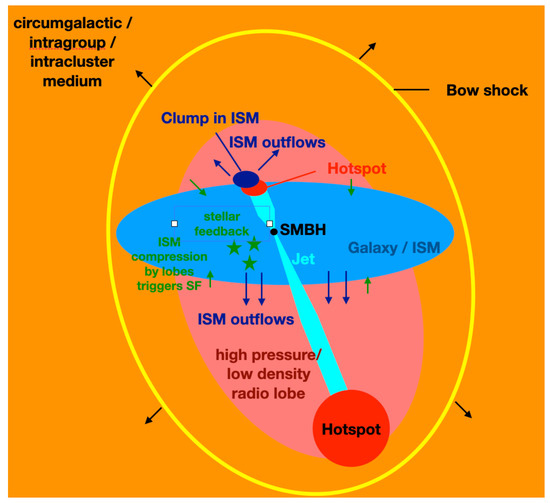 Jet Feedback in Star-Forming Galaxies