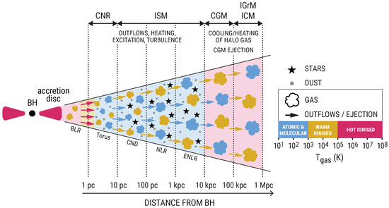 Observational Tests of Active Galactic Nuclei Feedback: An Overview of ...
