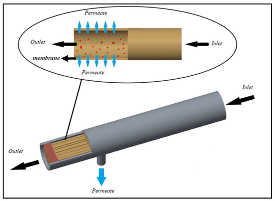 Computational Fluid Dynamics Analysis of a Hollow Fiber Membrane Module ...