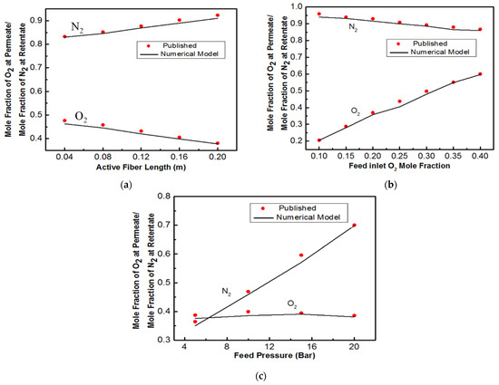 Computational Fluid Dynamics Analysis of a Hollow Fiber Membrane Module for Binary Gas Mixture
