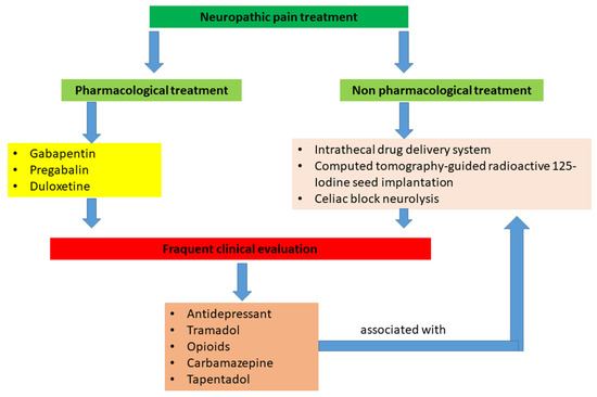 Neuropathic Pain in Pancreatic Cancer: An Update of the Last Five Years