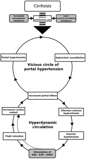 Clinical Significance and Management of Hyponatremia in Liver Cirrhosis