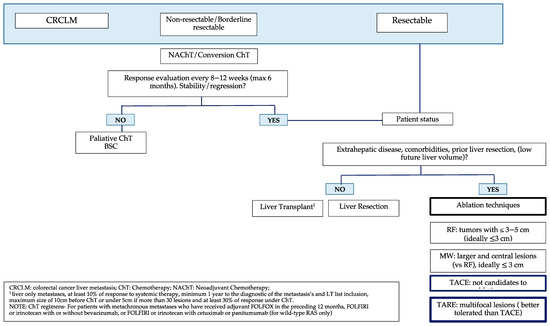 Colorectal Cancer Liver Metastasis—State-of-the-Art and Future Perspectives