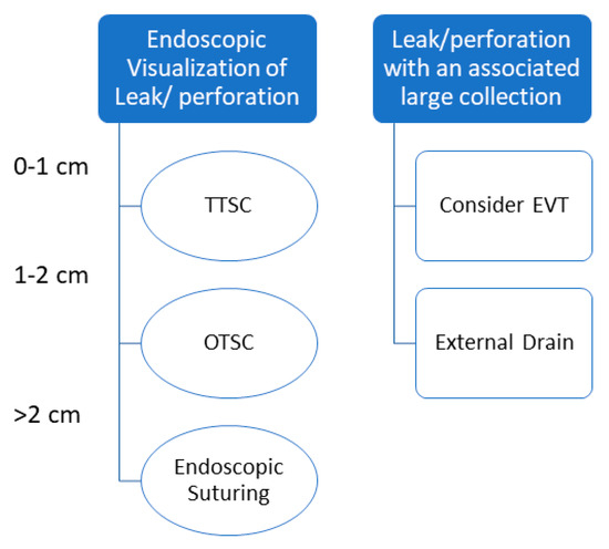 Endoscopic Management of Gastric Disruptions